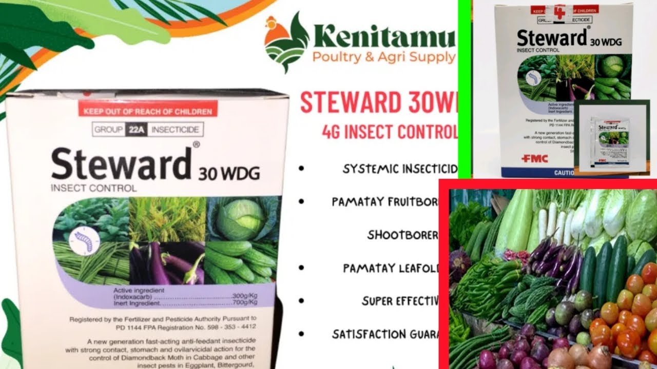 STEWARD I INSECTICIDE CHEMICAL SPRAY - YouTube
