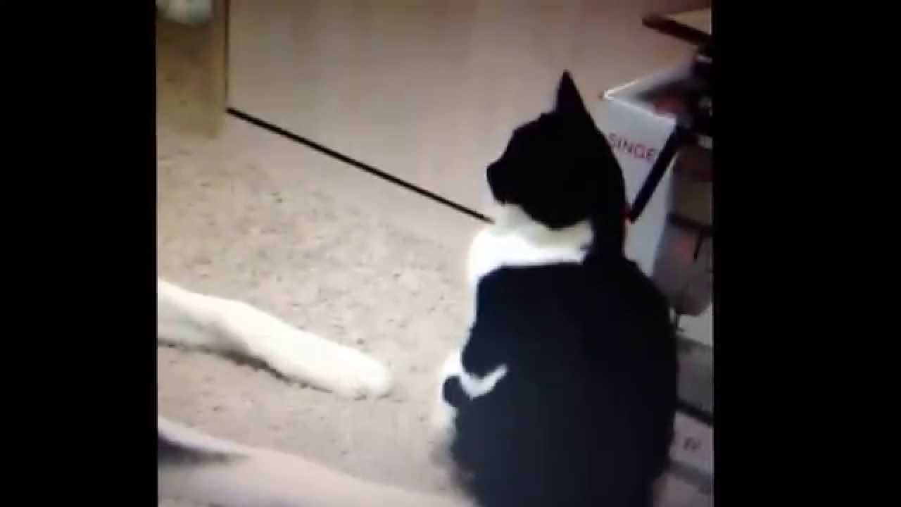 Ohh damn - YouTube