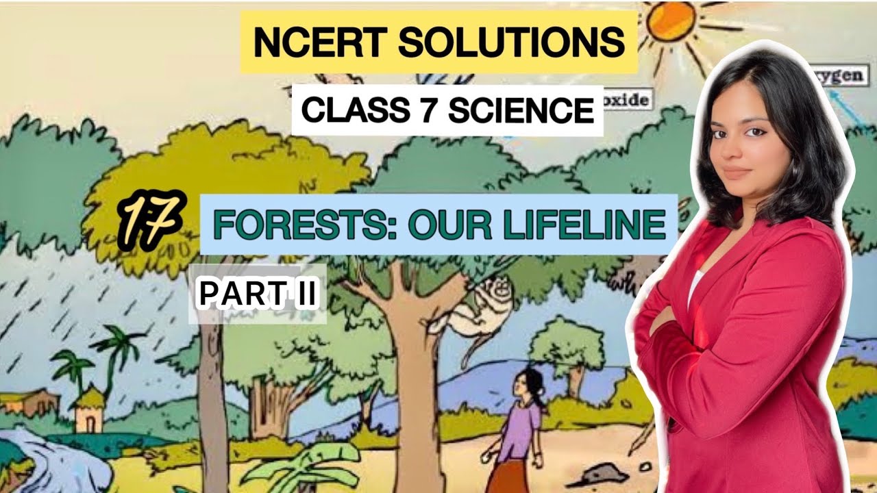 NCERT Solutions Class 7 Science Chapter 17: Forests: Our Lifeline - YouTube