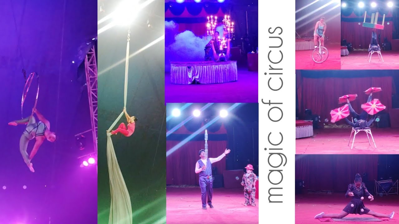 Circus show | magic of circus | circus videos | armedia - YouTube