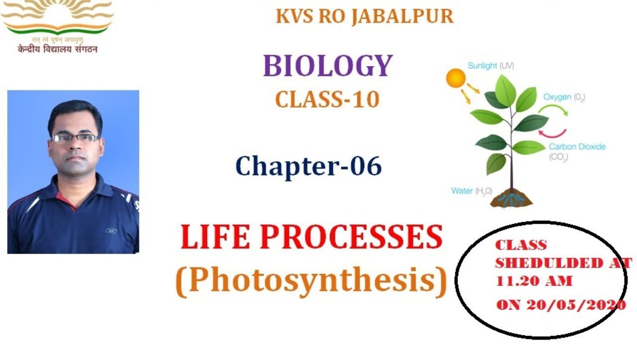 LIFE PROCESS CLASS 10 YouTube life-process-class-10-youtube