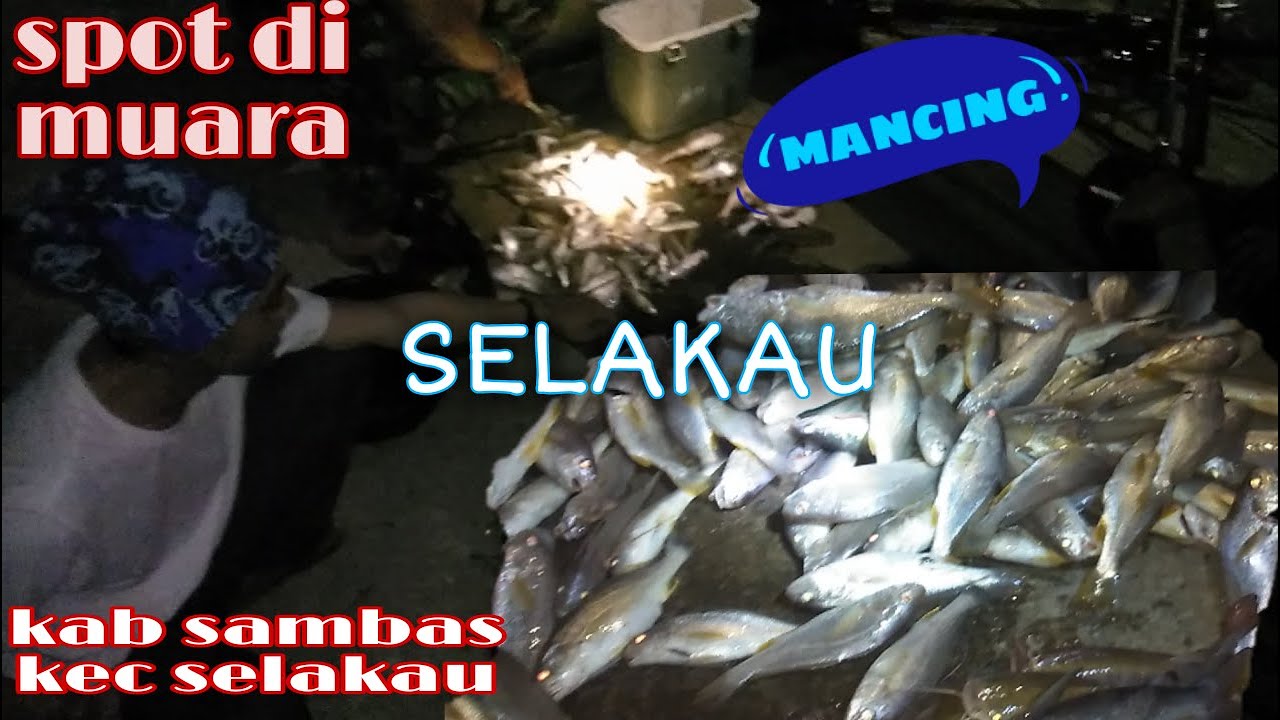 Mancing di Selakau (kab. Sambas) - YouTube