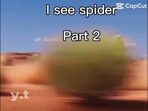 I see spider part 2 - YouTube
