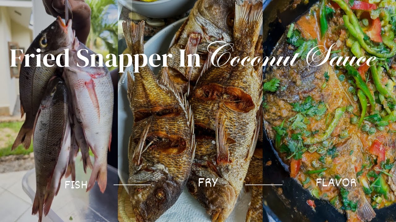 How To Cook White Snapper In Fresh Coconut Milk 🥥🥥 - YouTube