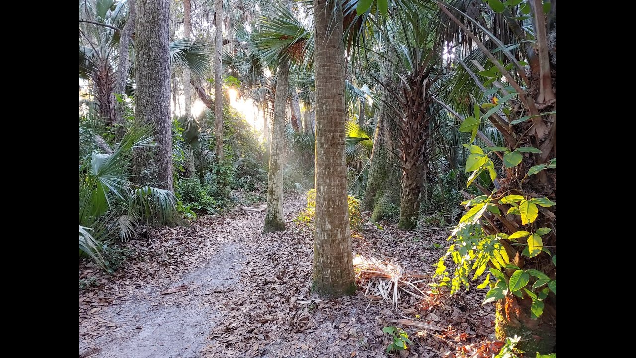 Pathway Exploration - YouTube