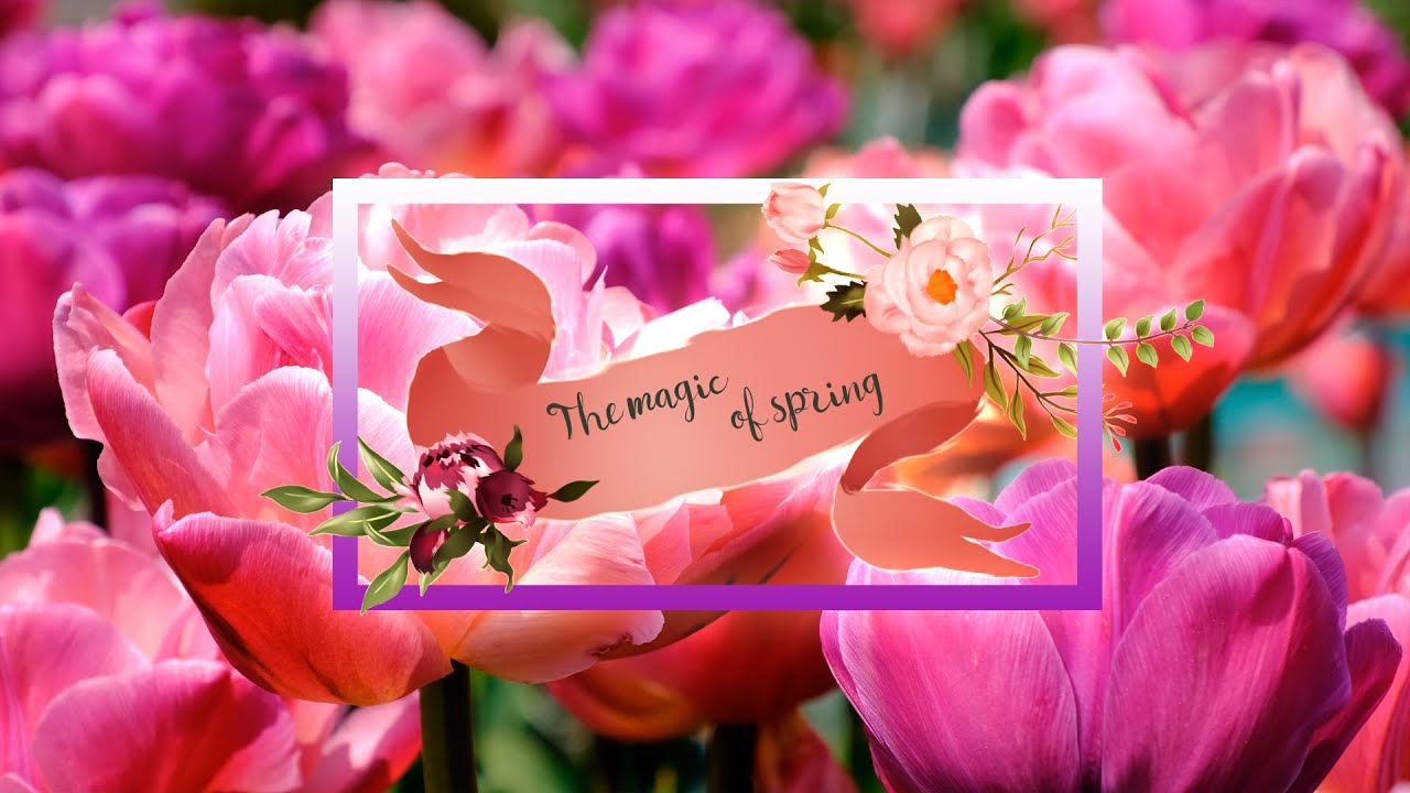 the MAGIC of SPRING | 🌸 the blossoming of life - YouTube