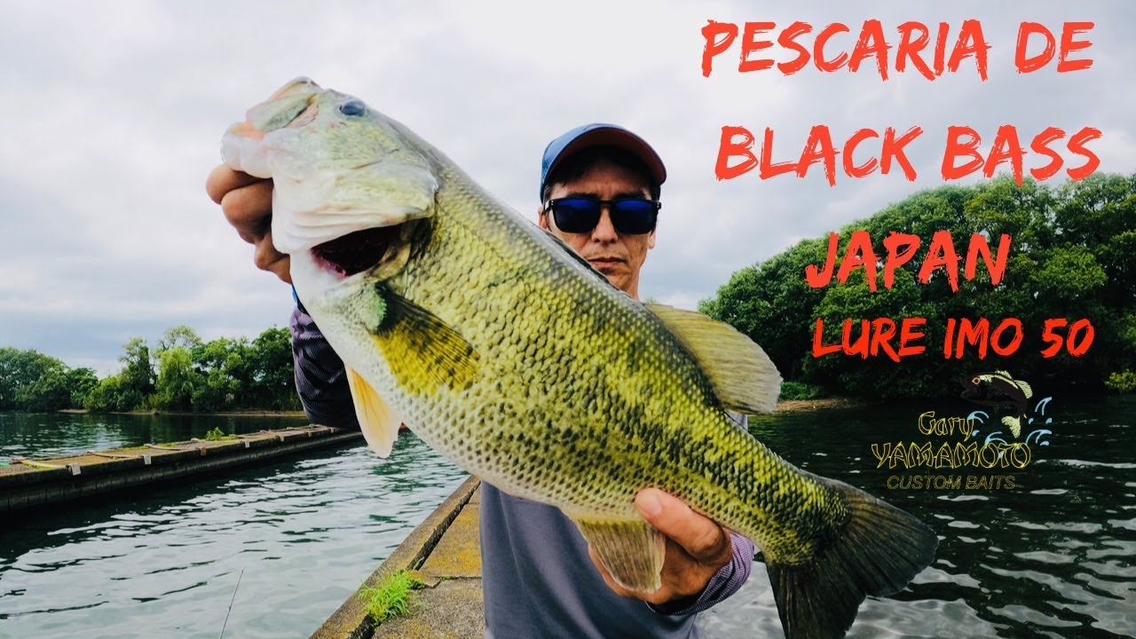 PESCARIA DE BLACK BASS LAKE BIWA - LURE GARY YAMAMOTO IMO 50 ...