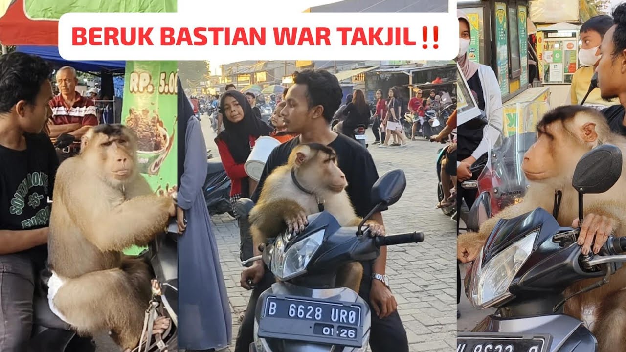Ngaduburit dan beli takjil bawa beruk besar ‼️JADI PUSAT PERHATIAN ...
