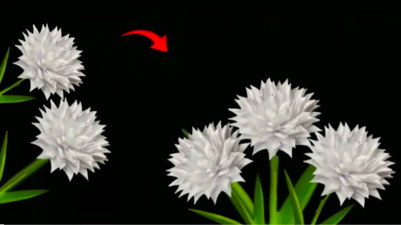 3D Paper Flowers | Easy Step-By-Step Tutorial for home decoration ...