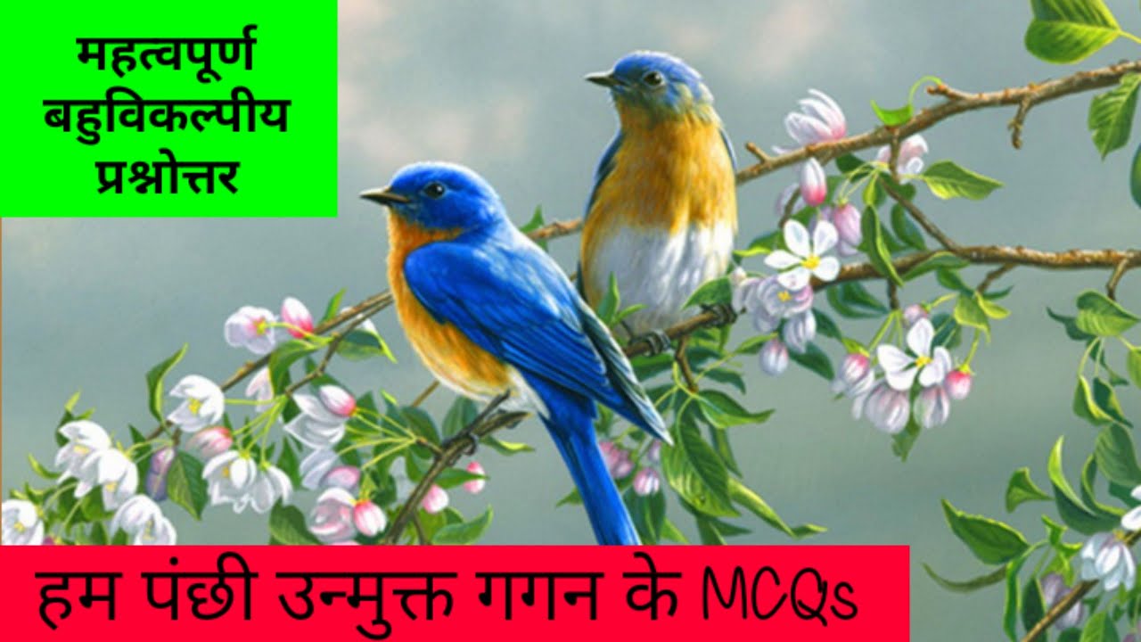 Hum Panchi Unmukt Gagan Ke Poem Question Answer Hum Panchi Unmukt hum-panchi-unmukt-gagan-ke-poem-question-answer-hum-panchi-unmukt