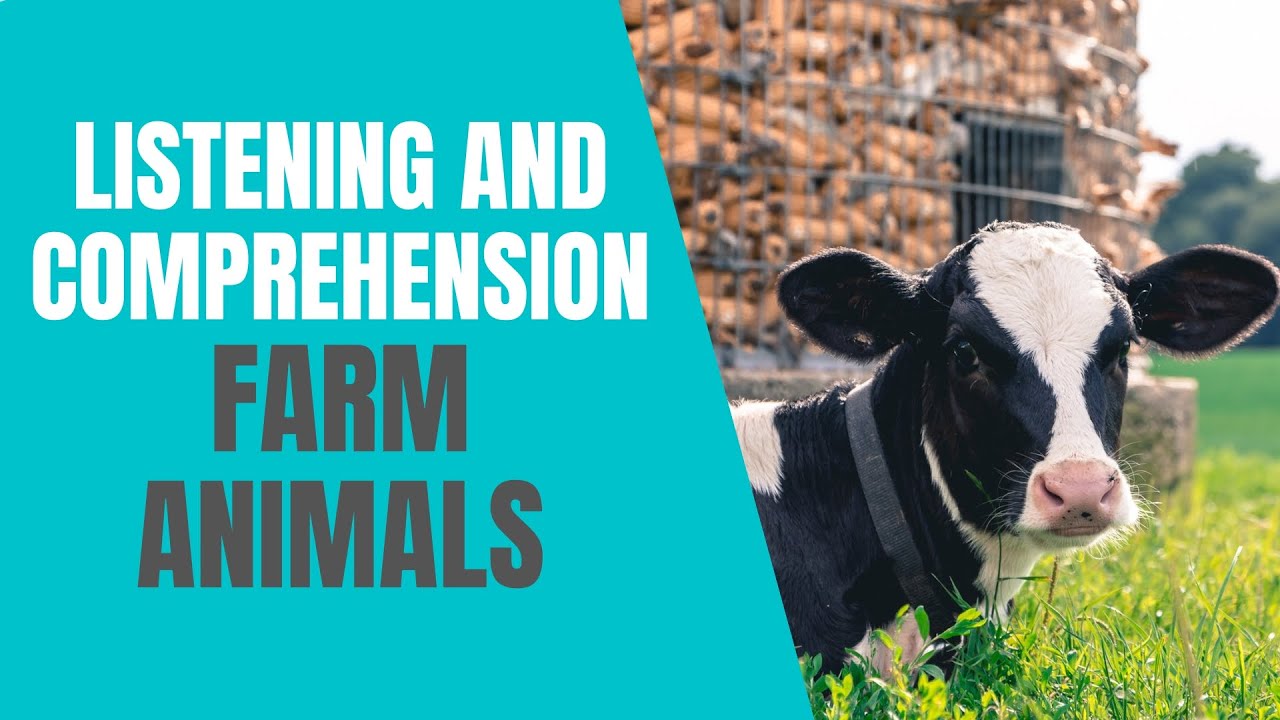 No-English Listening and Comprehension - Farm Animals - YouTube