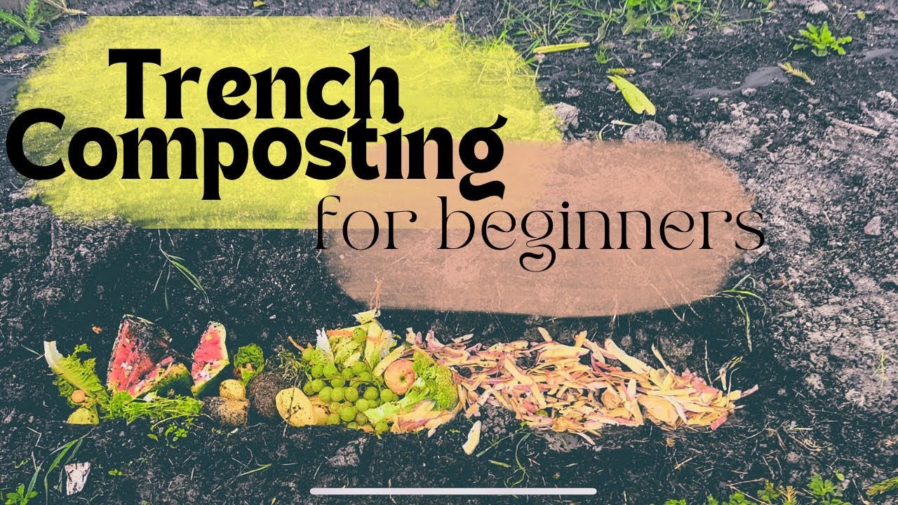 Trench Composting: The Easiest and Most Effective Way to Enrich Your ...