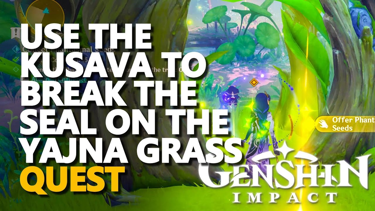 Use the Kusava to break the seal on the Yajna Grass Genshin Impact ...