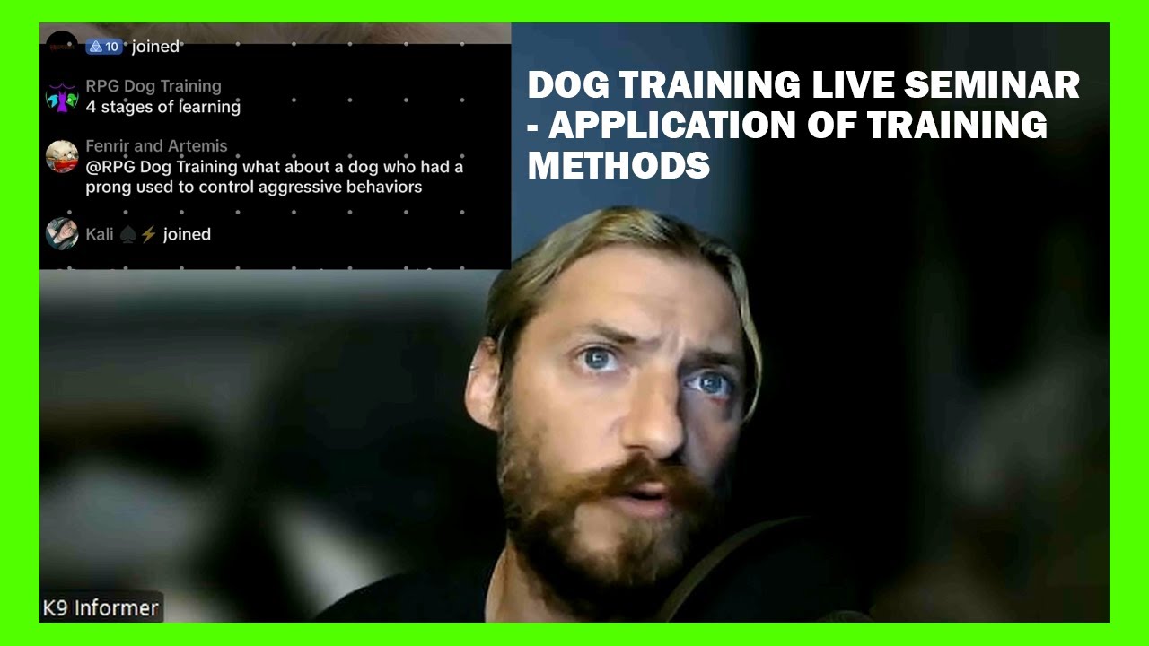 TDLD E21 - Dog Training 101 - Learning Theory - YouTube