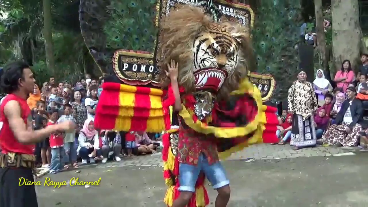 Akhirnya Ada Pemuda Yang Sanggup Mengangkat Dadak Merak Reog Ponorogo ...
