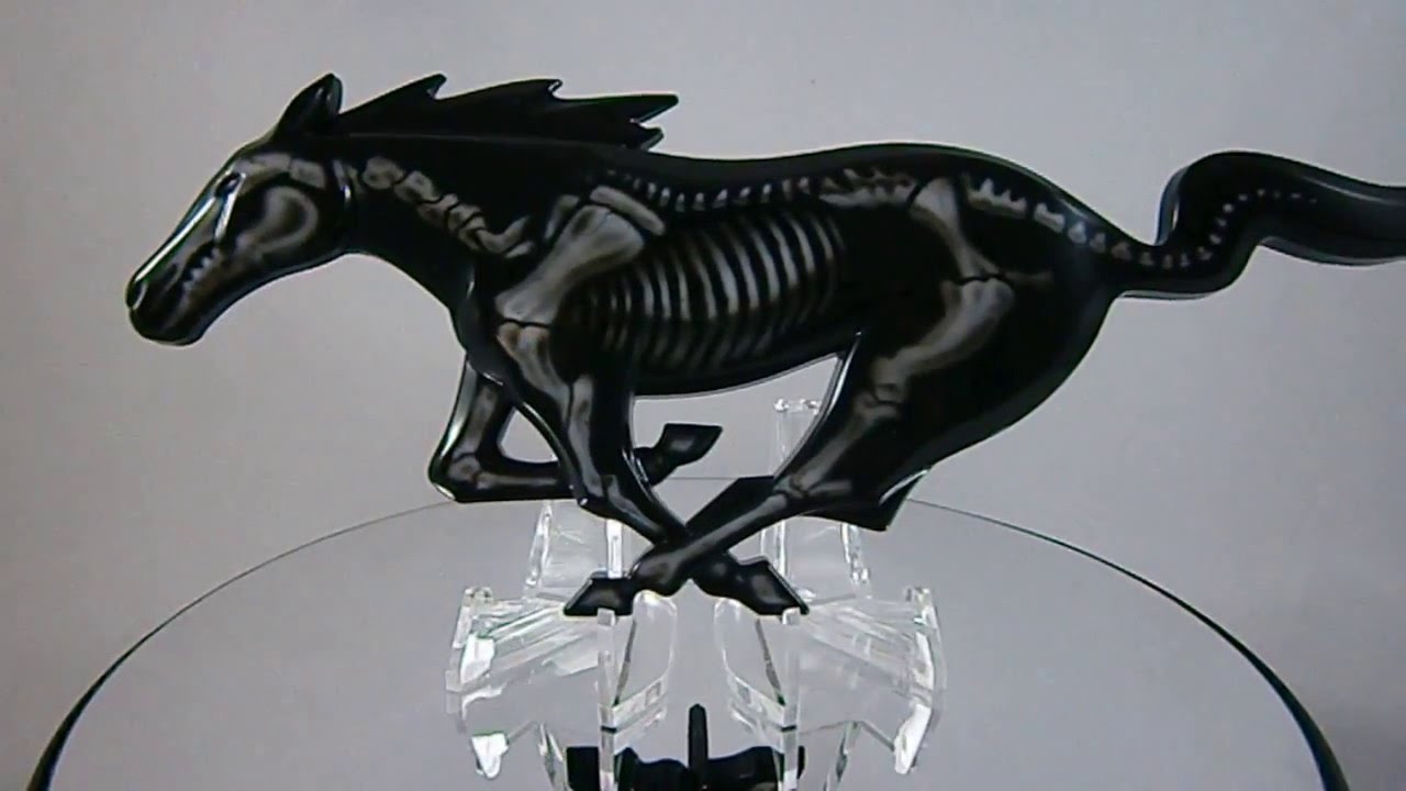 Ford Mustang Grill Pony - Black Base with Skeleton - YouTube