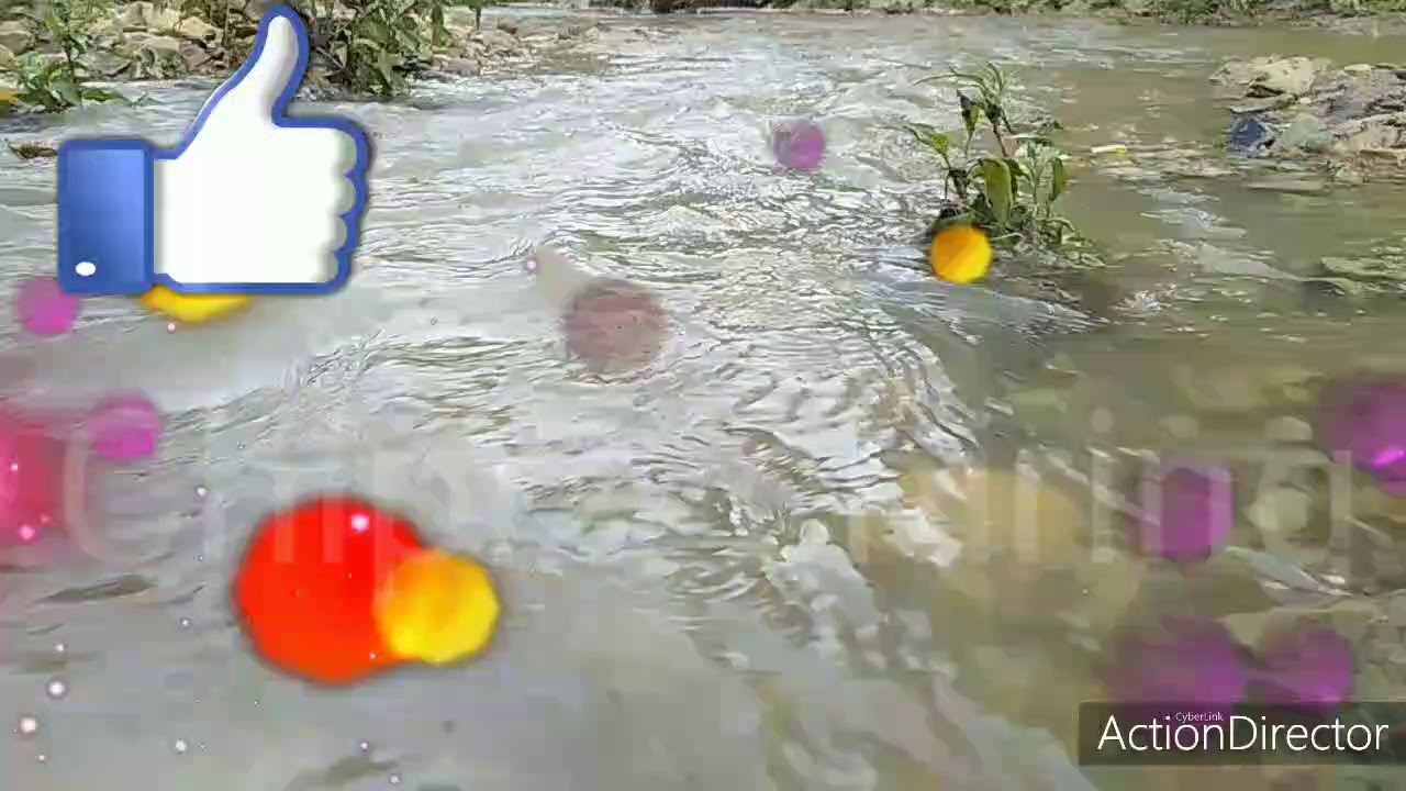 Chipra chiring### - YouTube