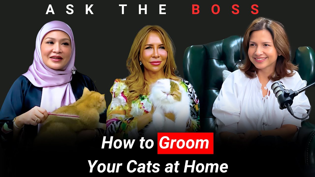 How to Groom Your Cats at Home – Ms. Zarina Abdullah, Cat Fancy Judge ...