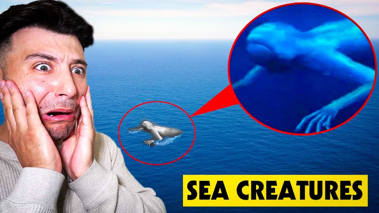 SCARY SEA CREATURES SPOTTED IN REAL LIFE (NINGEN, KRAKEN, MAGNAPINNA ...