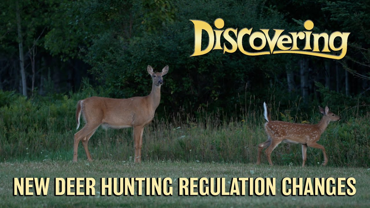 New Deer Hunting Regulations & Fly Fishing for Pike | DISCOVERING - YouTube