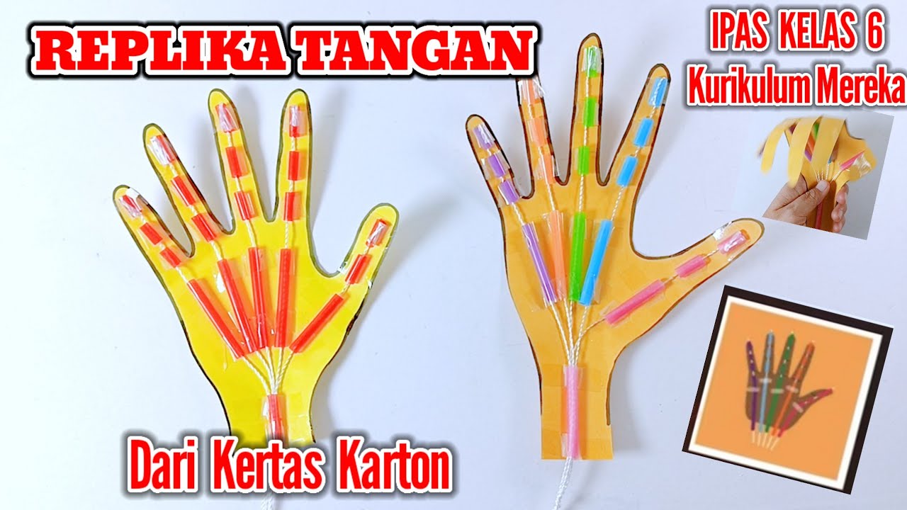 Membuat Replika Tangan / Alat Peraga Sistem Gerak / Tugas IPAS kelas 6 ...