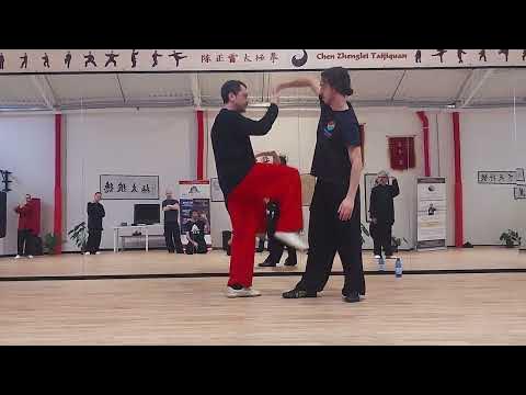 Chen Style Taijiquan - Professional Training Course - Chen Zhenglei Taijiquan Federation Italy ...