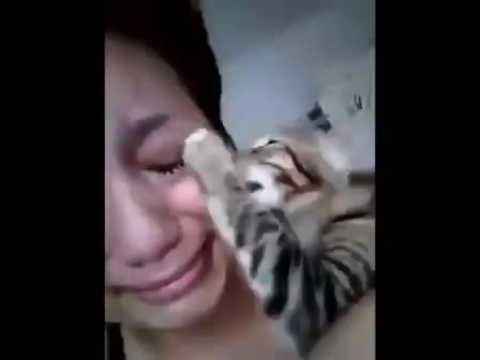 Ağlayan Sahibini Teselli Etmeye Çalışan Kedi