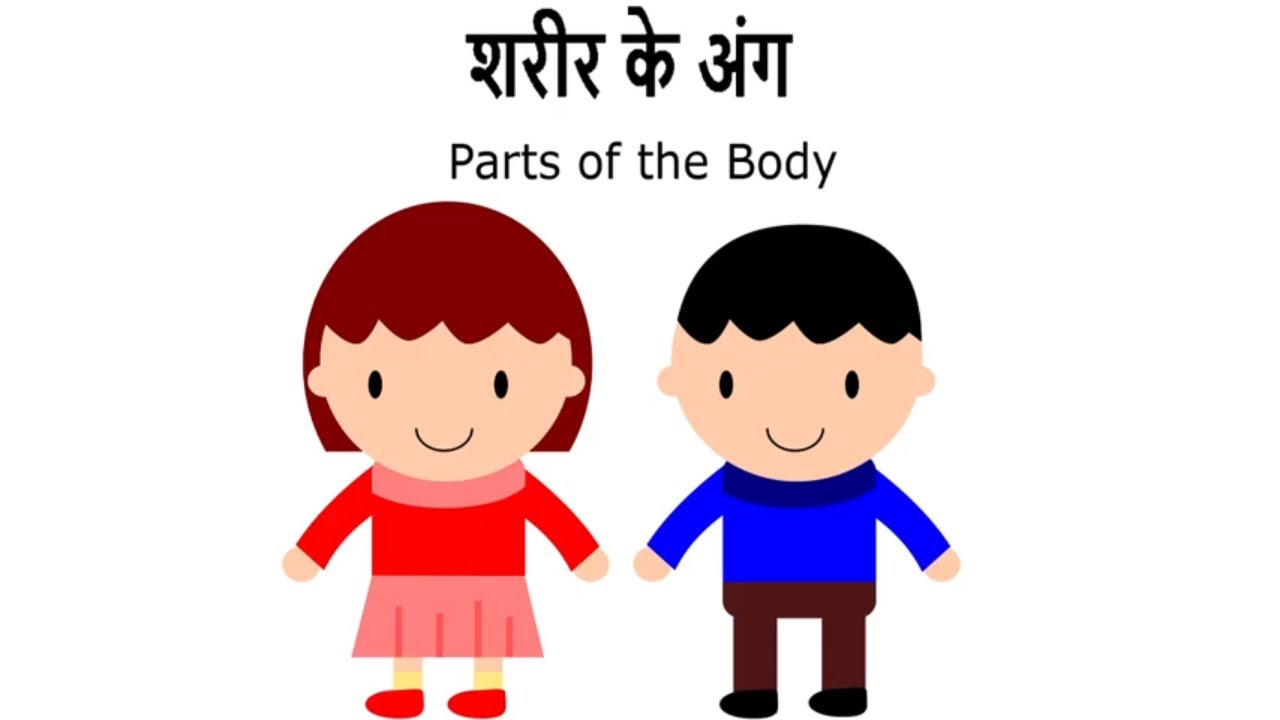 सरीर के अंग के नाम हिंदी में , Parts of The Body In Hindi, Human Body ...