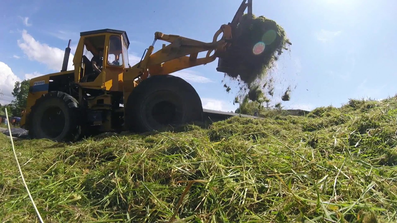 Old School Silage 2017 - YouTube