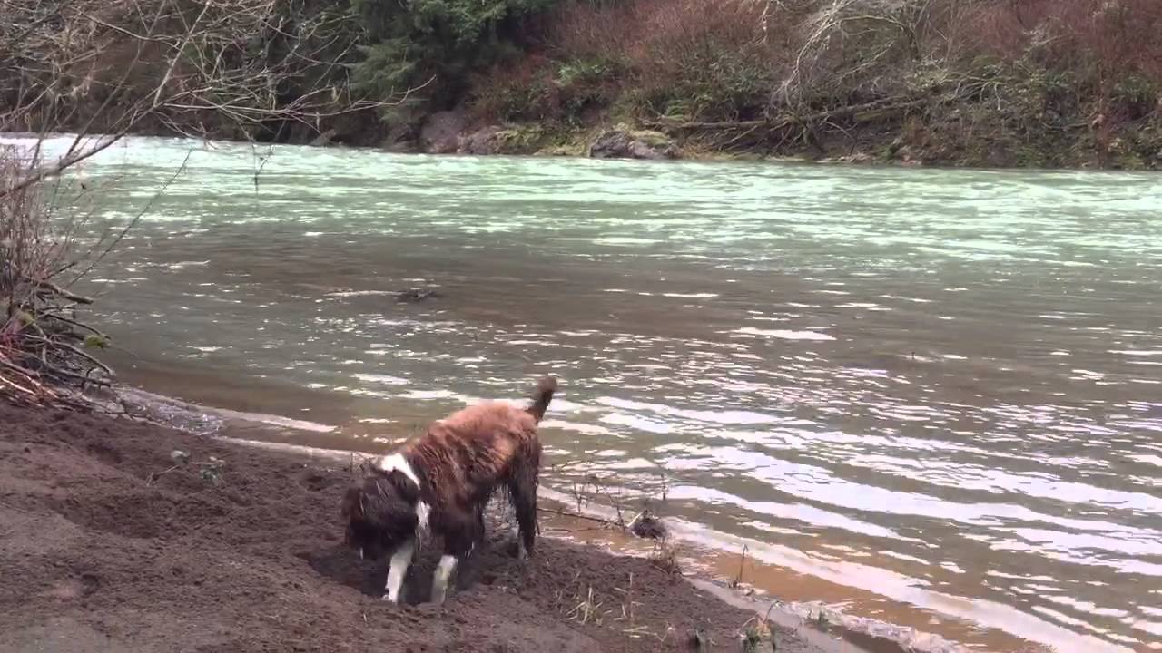 Plunking for Christmas - YouTube