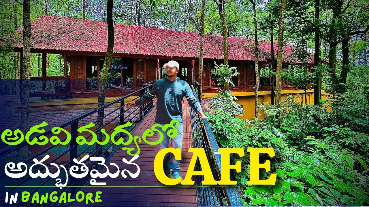CITRUS TRAIL Farm & Kitchen || 1 Day Trip From Bangalore #bangalore ...