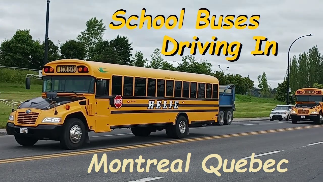 SCHOOL BUSES DRIVING IN MONTREAL QUEBEC MAY / JUNE 2024 - YouTube