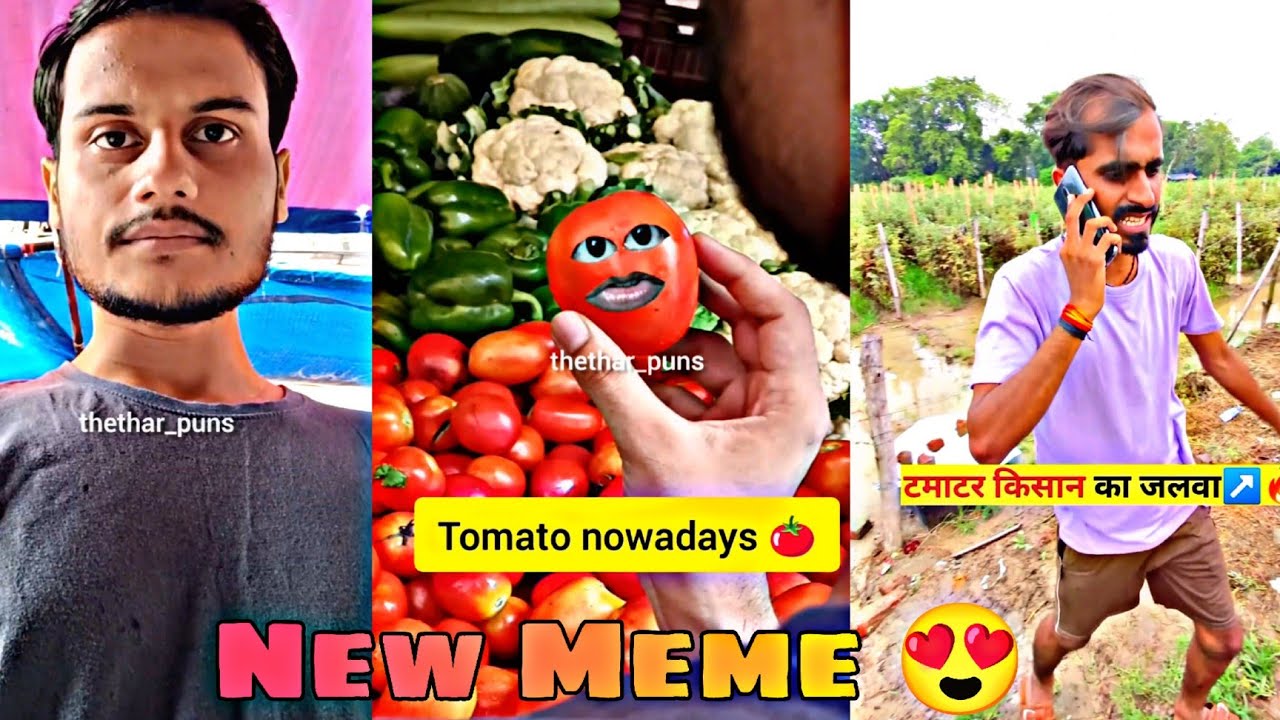 Tomato Meme 😍💥😂//Tomato Comedy 😂‼️ Tomato Instagram Reels 😂‼️ Instagram Viral Tomato Chatni 😂💥🥰 ...
