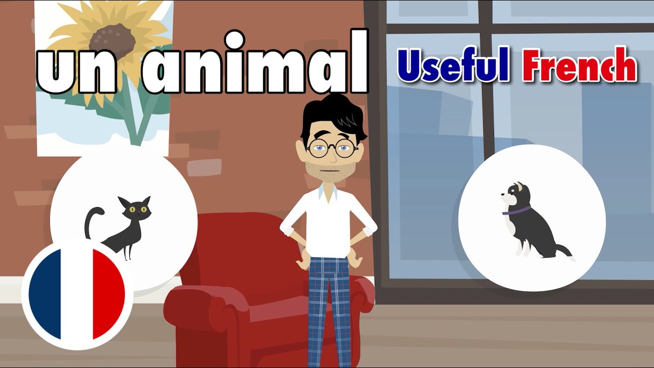 Learn Useful French: Choisir un animal de compagnie - Choosing a Pet ...