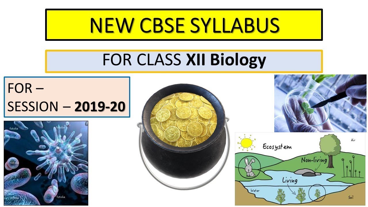 Biology Syllabus 2019 20 Class XII CBSE YouTube biology-syllabus-2019-20-class-xii-cbse-youtube