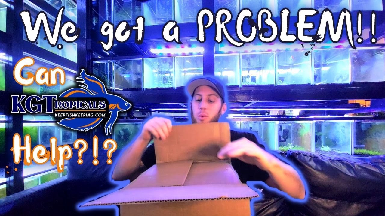 Problem solved KGTropicals Unboxing - YouTube