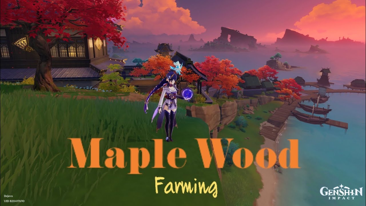 Maple Wood Genshin Impact Farming - YouTube