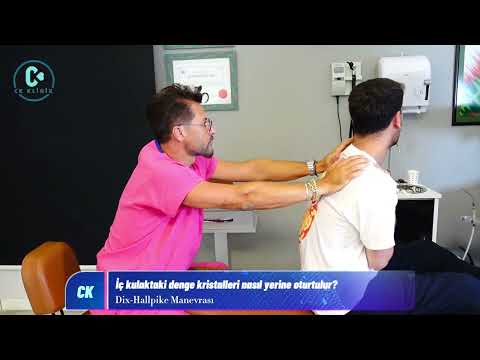 İç kulaktaki denge kristalleri nasıl yerine oturtulur?