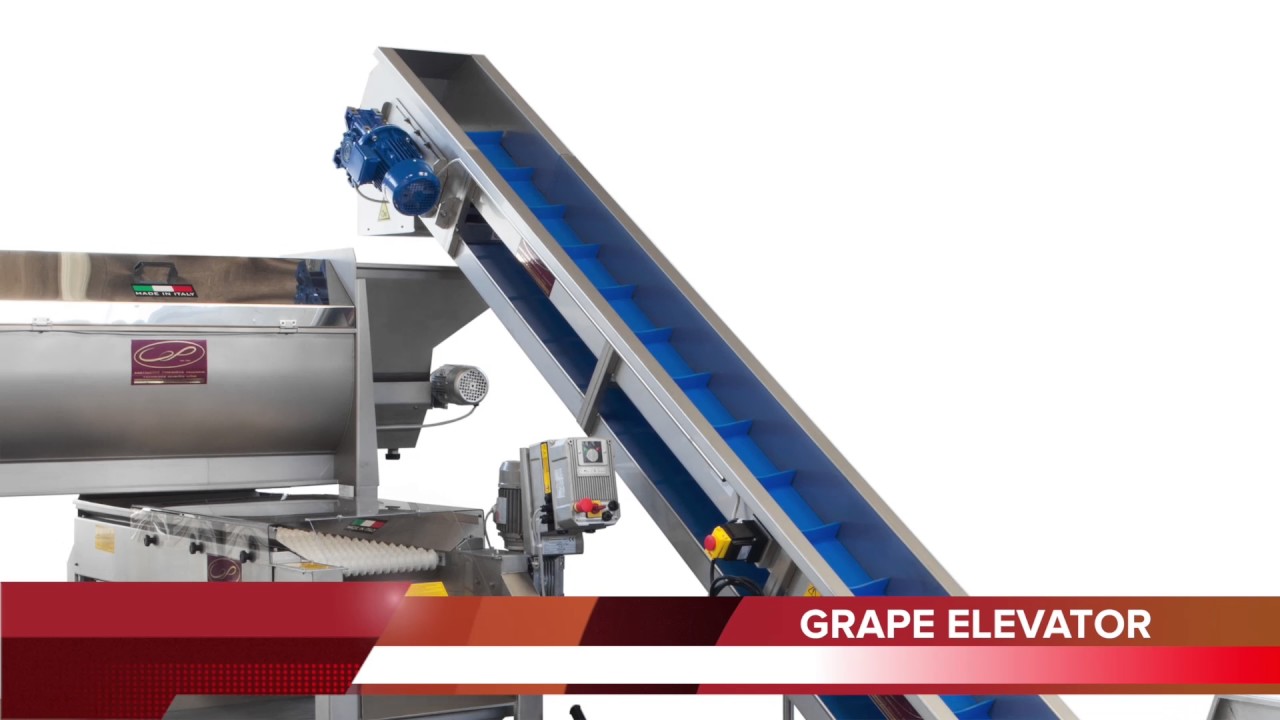 AUTOMATIC GRAPES SELECTION LINE WWW.CEPITALY.COM - YouTube