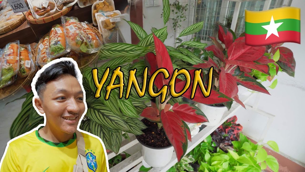 Living in Yangon, Myanmar ( Visiting the IKEA of Myanmar ) - YouTube