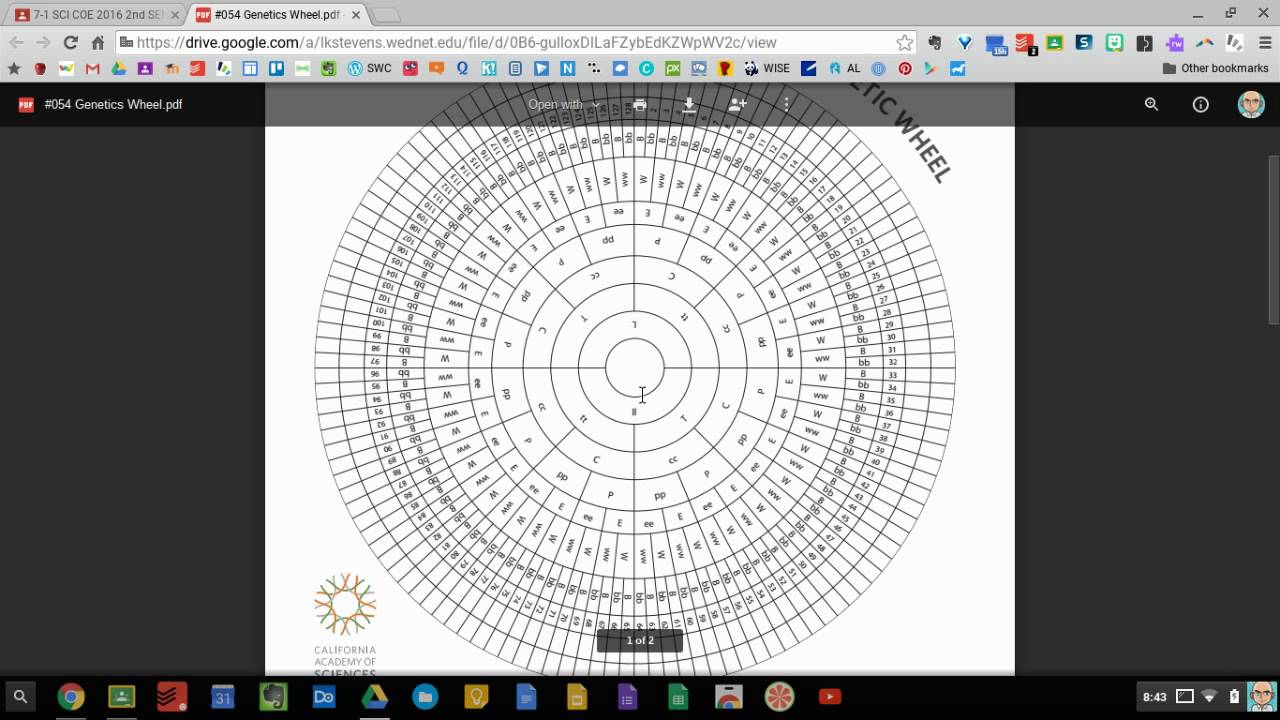 #054 Genetics Wheel Video Instructions - YouTube