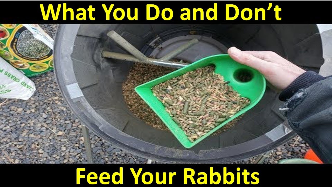 What Ingredients Should You Add to Custom Mix or Blend Rabbit Feed ...