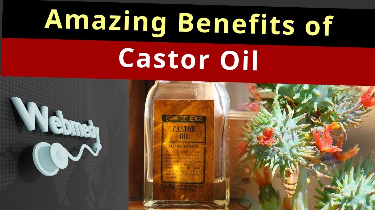 The Hidden Benefits of Castor Oil You Need to Know | Castor Oil ...