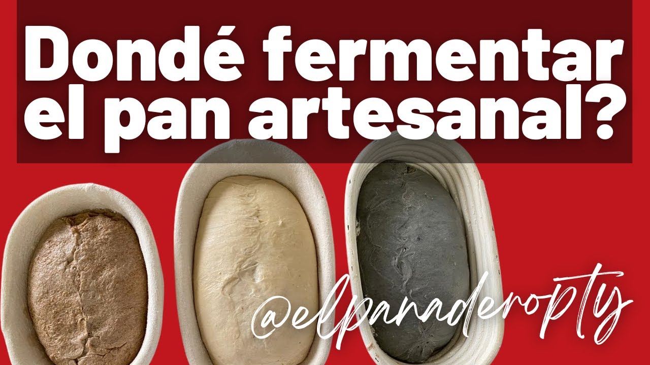 Donde fermentar el pan artesanal? - EL PANADERO PTY - YouTube