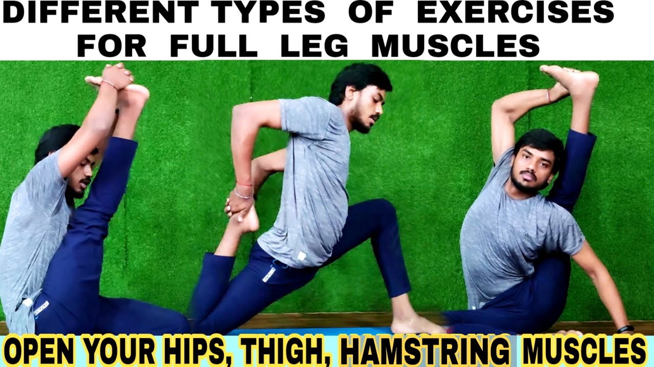 Leg Muscles Exercises/Different Types Of Exercises For Hips, Thigh Or ...