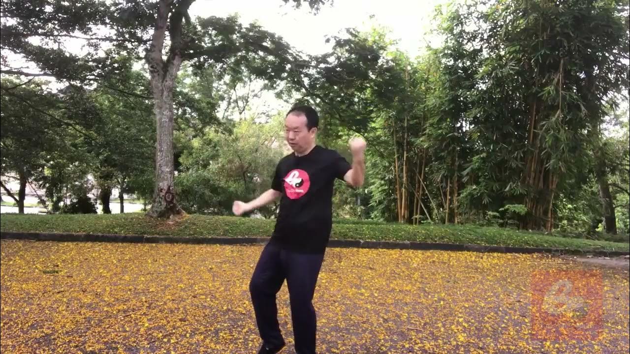 Chen Style Tai Chi New Frame First Routine 陈氏太极拳新架一路 - 42 海底翻花 Hand Chopping Blocking - YouTube