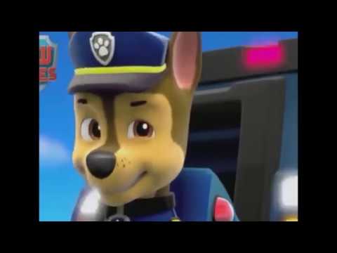 Chase is on the case speed up - YouTube