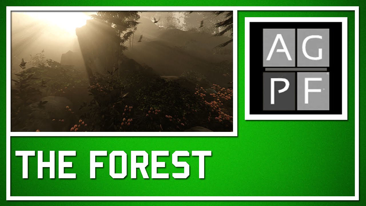 The Forest | Gameplay ITA | #1 L'inizio - YouTube