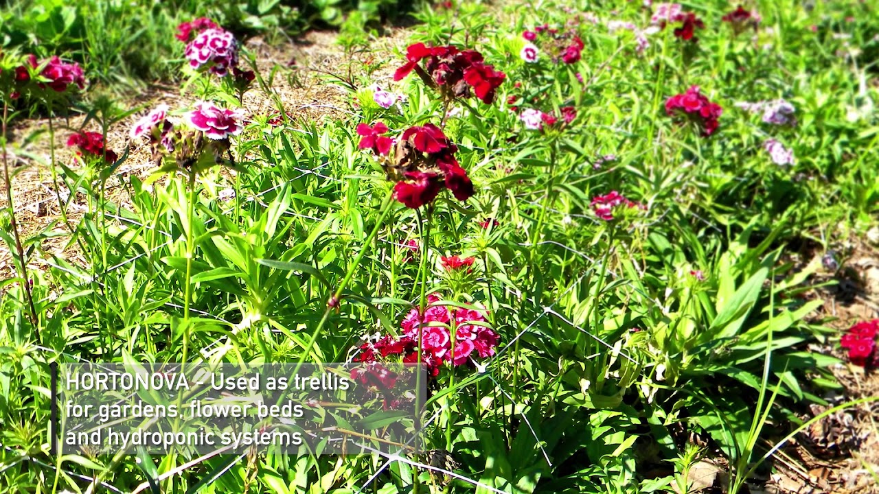 Hortonova Flower Netting | Best Flower Site