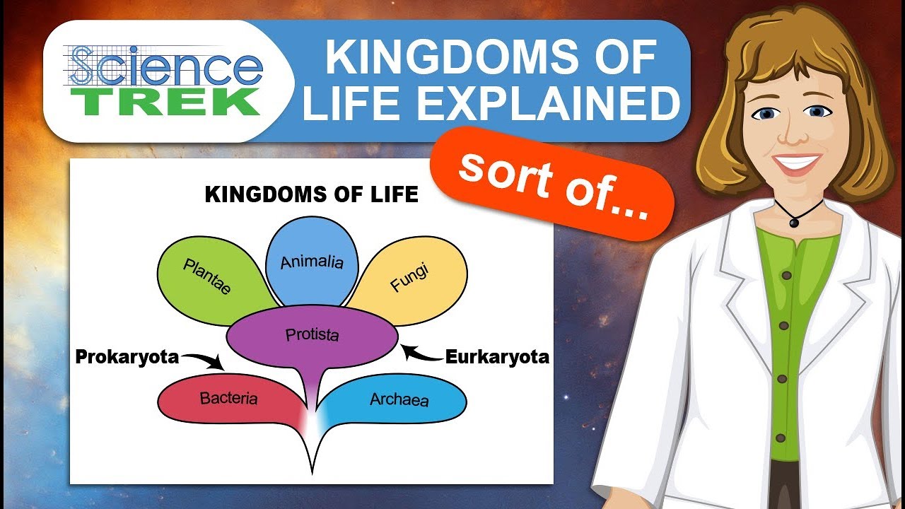 Kingdoms of Life Explained, Sort Of | Science Trek - YouTube